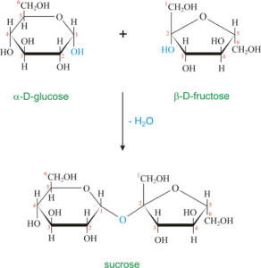 8 Difference Between Reducing And Non-reducing Sugars (With Common ...