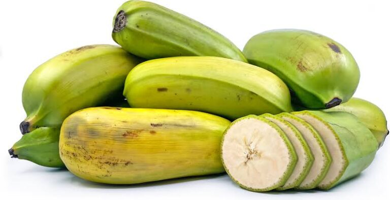 25 Different Types of Bananas And Their Characteristics - AMERICAN GARDENER