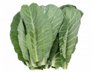 16 Different Types of Kale Varieties (With Pictures)