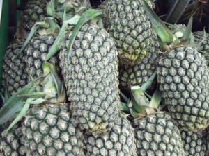 15 Types of Pineapple Varieties And Their Characteristics - AMERICAN ...