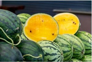 Yellow Watermelons: Everything You Need To Know - AMERICAN GARDENER