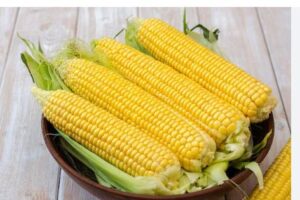 24 Types of Corn (Origin, Characteristics & Use) - Identification Guide ...