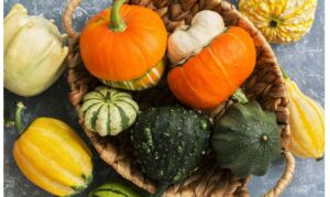 48 Types of Squash And How To Use Them - AMERICAN GARDENER