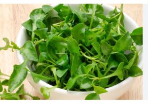 Watercress: History, Identifyingy Characteristics, Nutritional Value ...