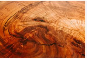 30 Types of Trees With Brown Wood – Identification Guide - AMERICAN ...