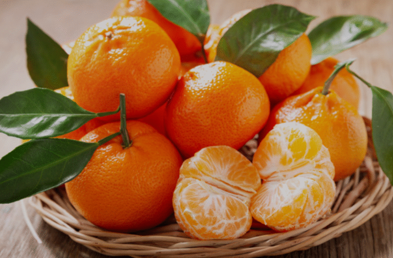 24 Types of Oranges That Are Easy to Peel - AMERICAN GARDENER