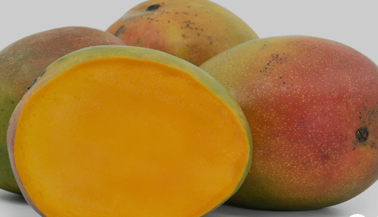 24 Types of Mangoes That Are Not Stringy - AMERICAN GARDENER