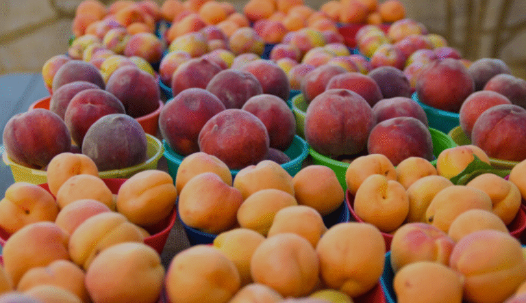 28 Types of Stone Fruits (Drupes) - AMERICAN GARDENER