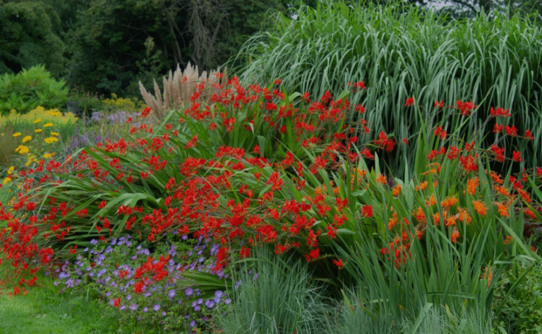 24 Best Plants and Flowers for Growing In Zone 8 Gardens - AMERICAN ...
