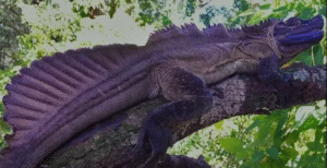 10 Lizards that Look Like Godzilla – (Identification Guide) - AMERICAN ...