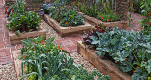16 Types of Kitchen Gardens – (Their Pros & Cons, With Pictures ...