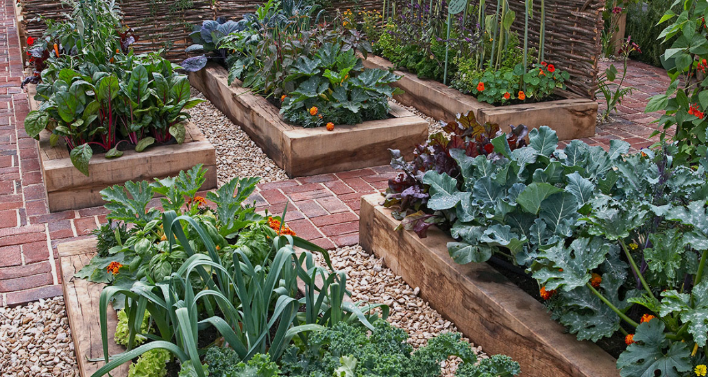 16 Types of Kitchen Gardens - (Their Pros & Cons, With Pictures ...
