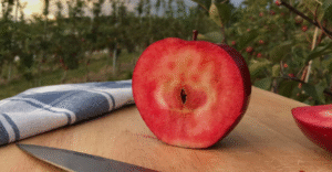 14 Apples that Are Red Inside – (Identification & Pictures) - AMERICAN ...