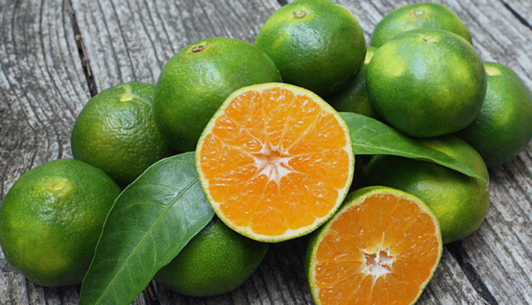5 Types of Oranges With a Green Skin When Ripe - AMERICAN GARDENER