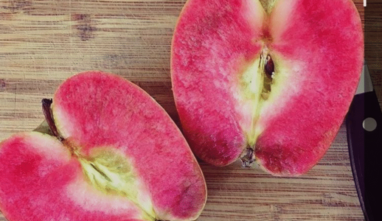 12 Apples that are Pink Inside – (Identification & Pictures) - AMERICAN ...