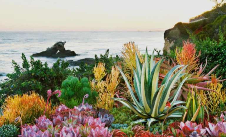 28 Plants that Grow Well on Beaches – (Near Oceans) - AMERICAN GARDENER